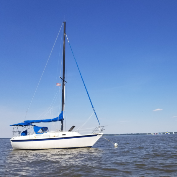 Sailing Cruises – Northern Virginia Sailing School